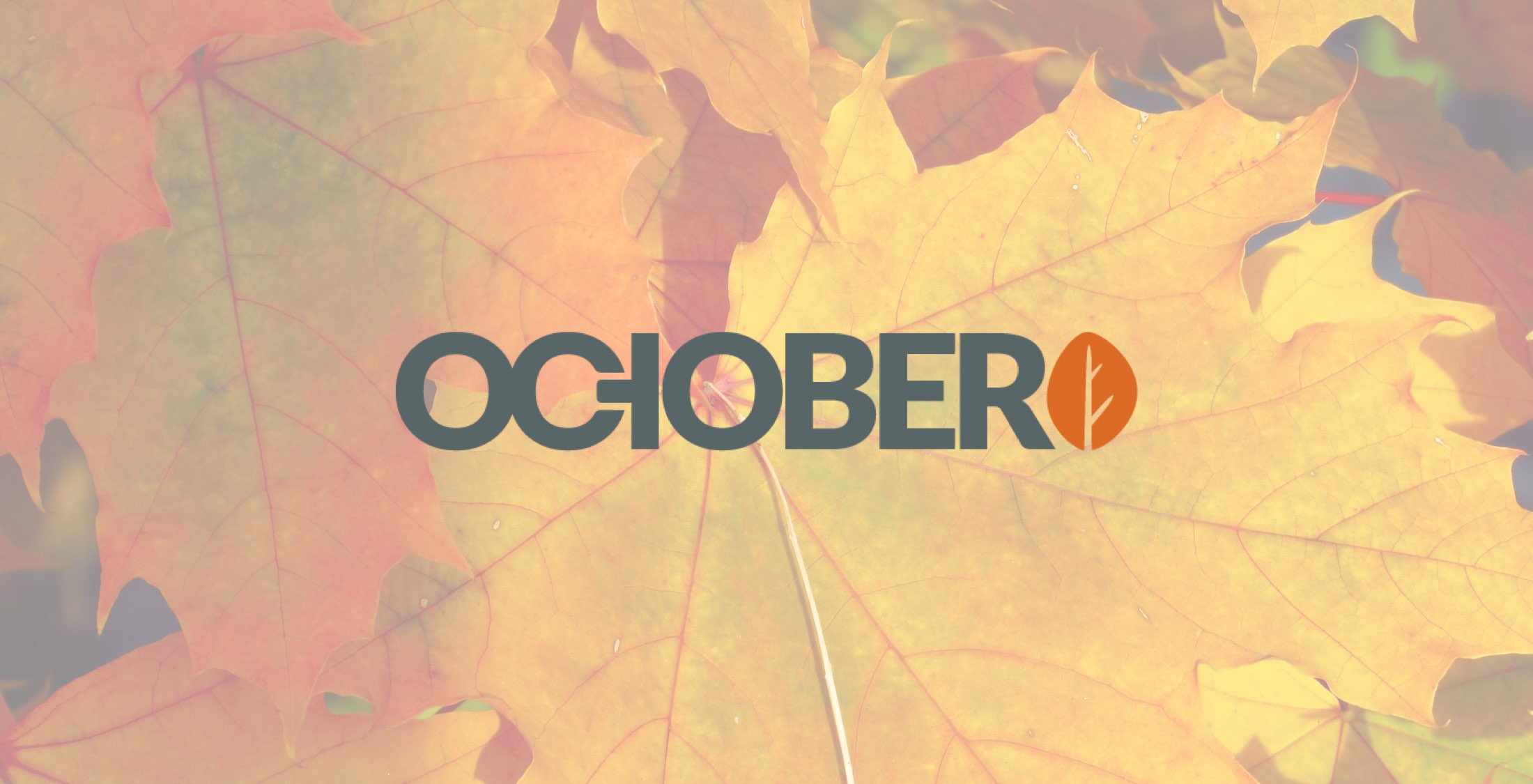 How To Install OctoberCMS on Ubuntu | Laravel News